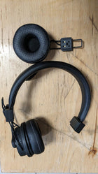 Home – Blue Tiger USA